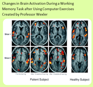 NeuroScience – C8Sciences
